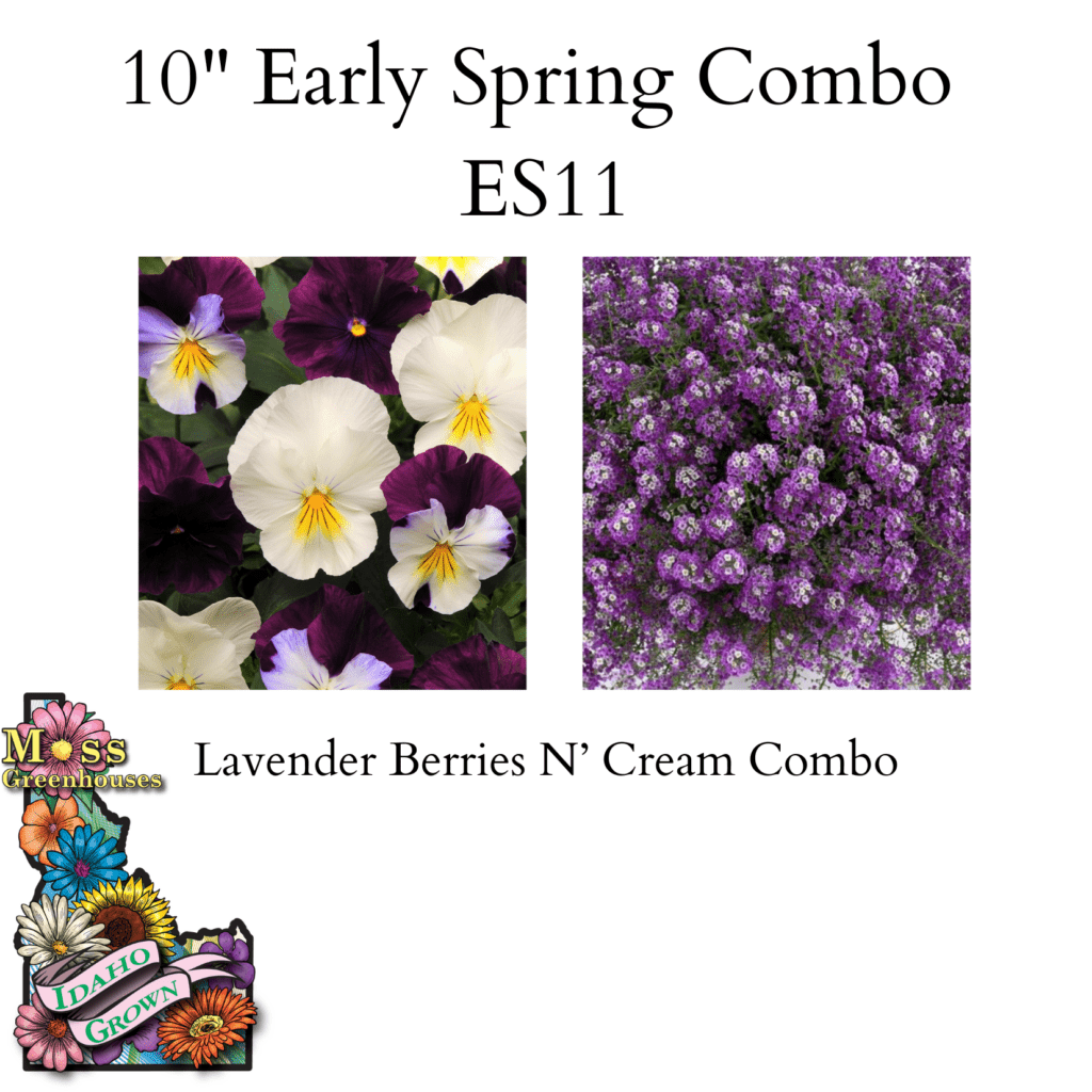 10" Early Spring Combo ~ ES11 - Moss Greenhouses